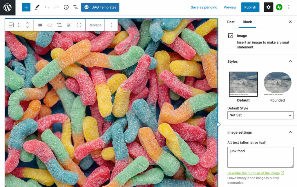 How To Use ALT Alternative Text In WordPress Digital Candy Online